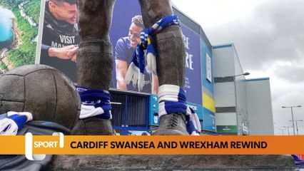 Cardiff’s Salech still firing, Swansea end baron run of form and ...
