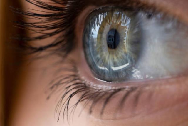 La verdura que es buena para la visión e impide la aparición de ...