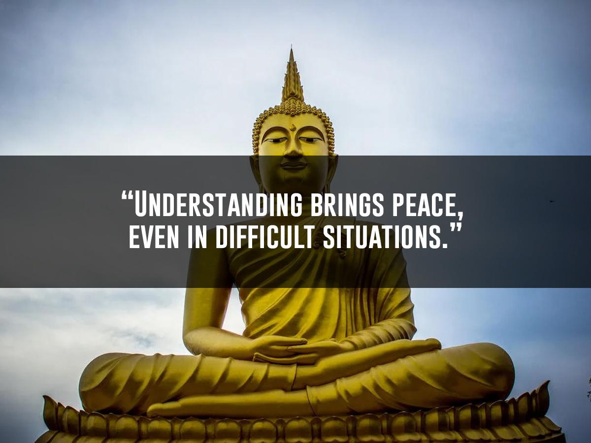 100+ Peace Quotes To Embrace Calm & Serenity Through Wise Words