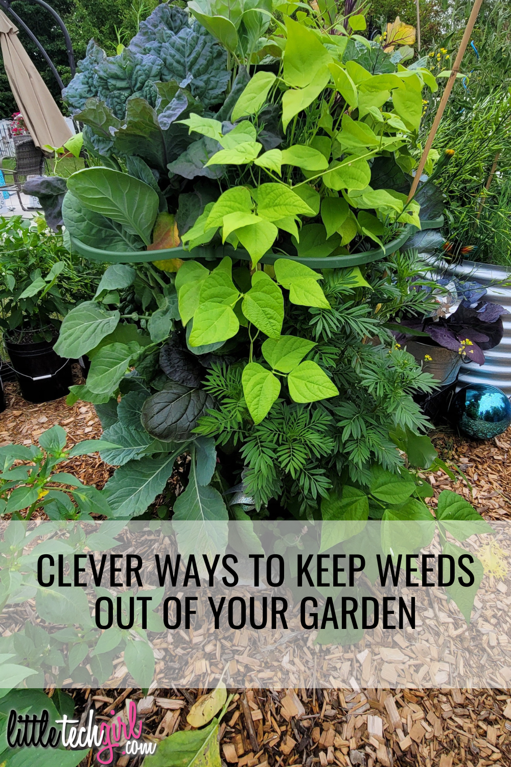 Clever Ways to Banish Garden Weeds
