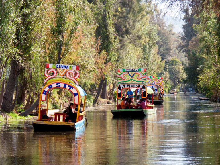 ¿Qué son las chinampas? Un método de cultivo prehispánico que aún sobrevive