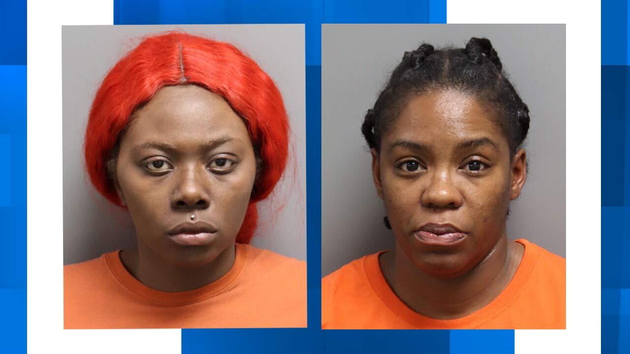 2 arrested in connection to strong-arm robbery and assault in North ...