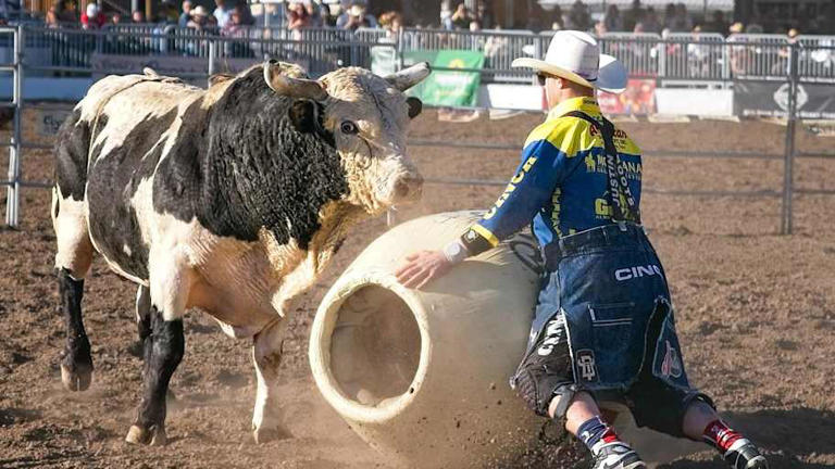Tucson Rodeo Enthusiasts Celebrate Tradition and Talent at La Fiesta De ...