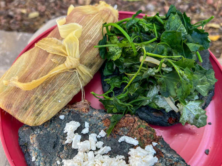 ¿Qué son las chinampas? Un método de cultivo prehispánico que aún sobrevive