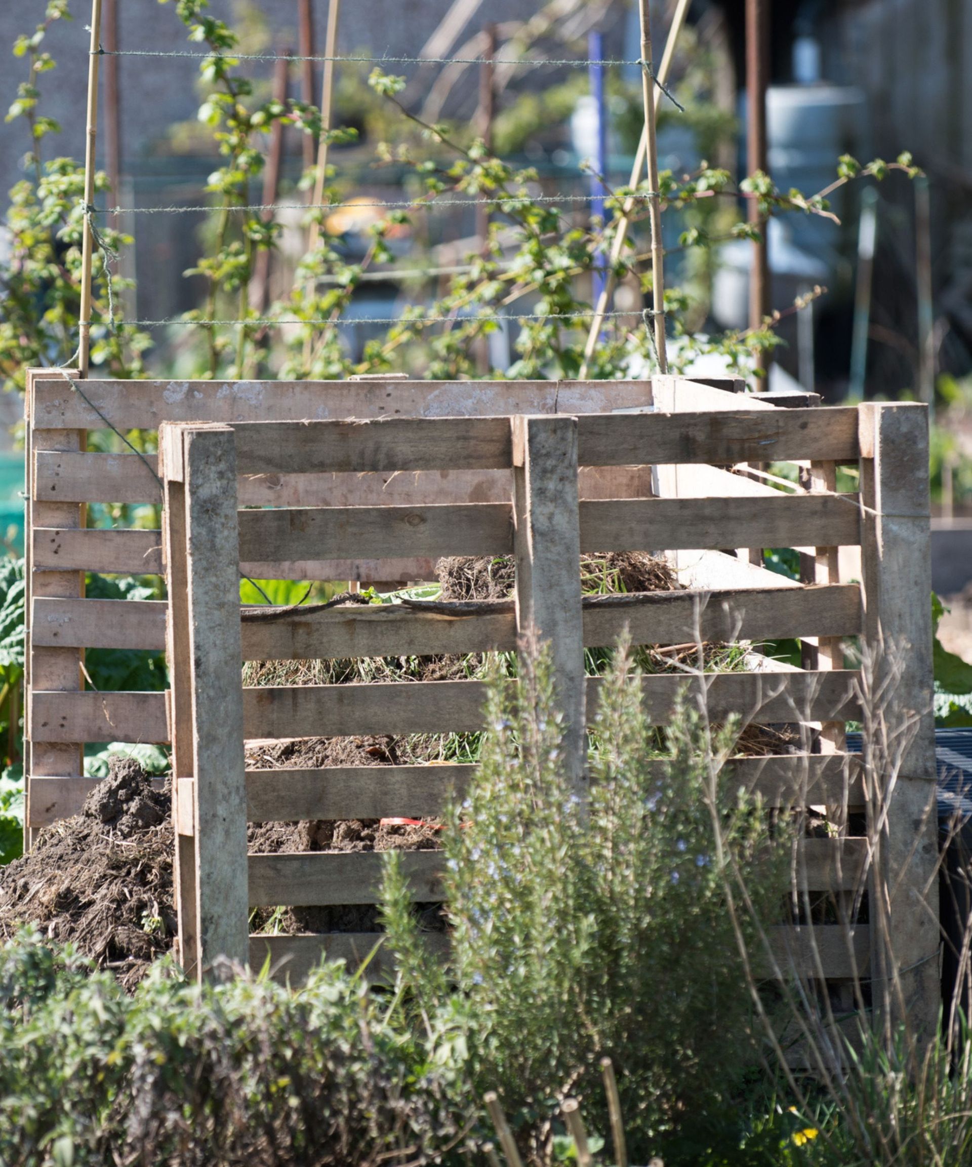 How to make a compost bin out of pallets – gardening pros reveal how to ...