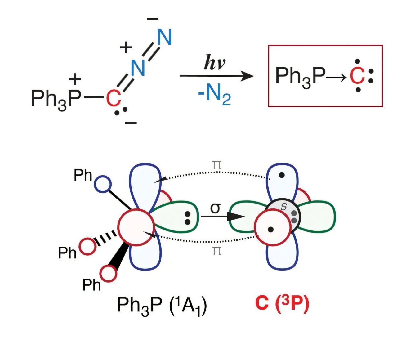 Exotic monovalent carbon compound features single bond with phosphorus ...