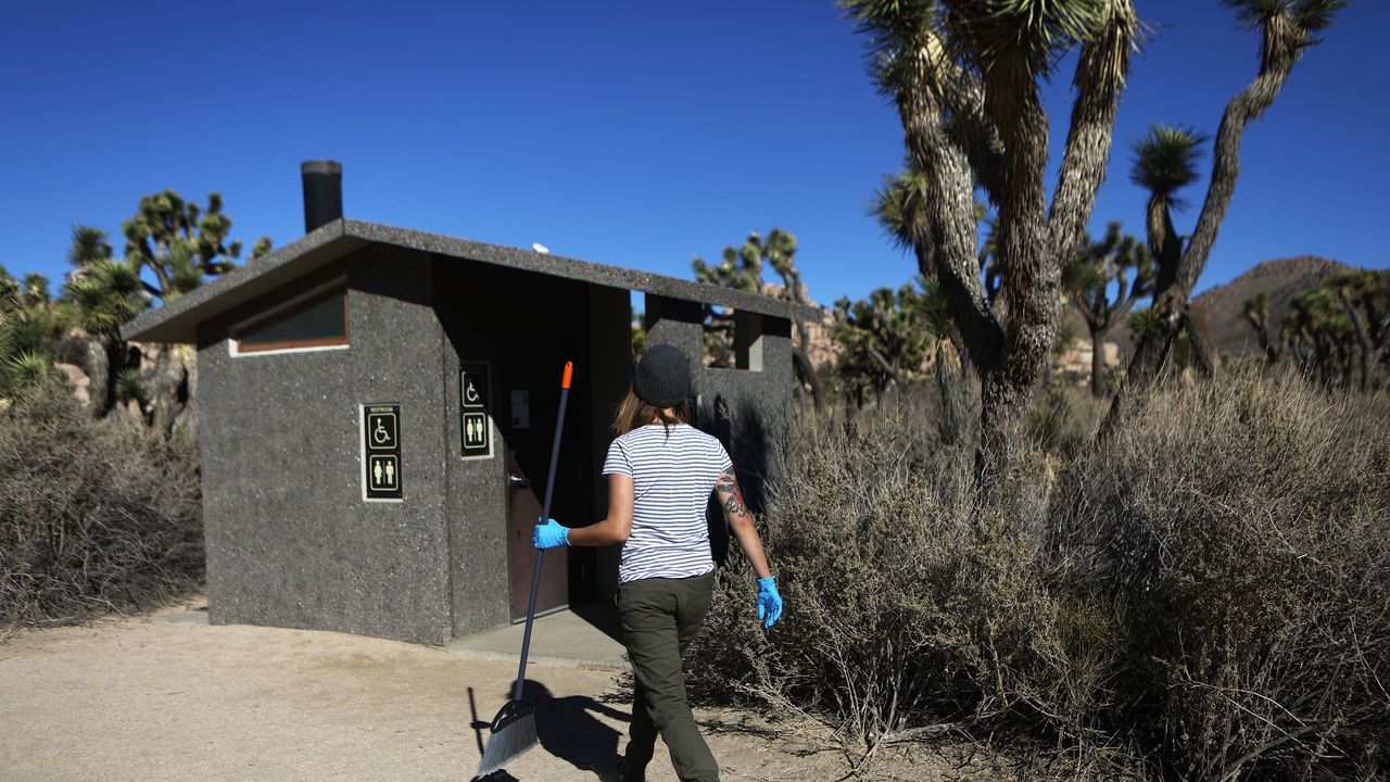 As cuts hit national parks, Joshua Tree is still scarred from 2019
