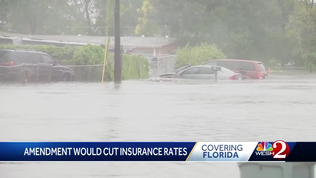 Amendment proposed to cut Florida insurance rates