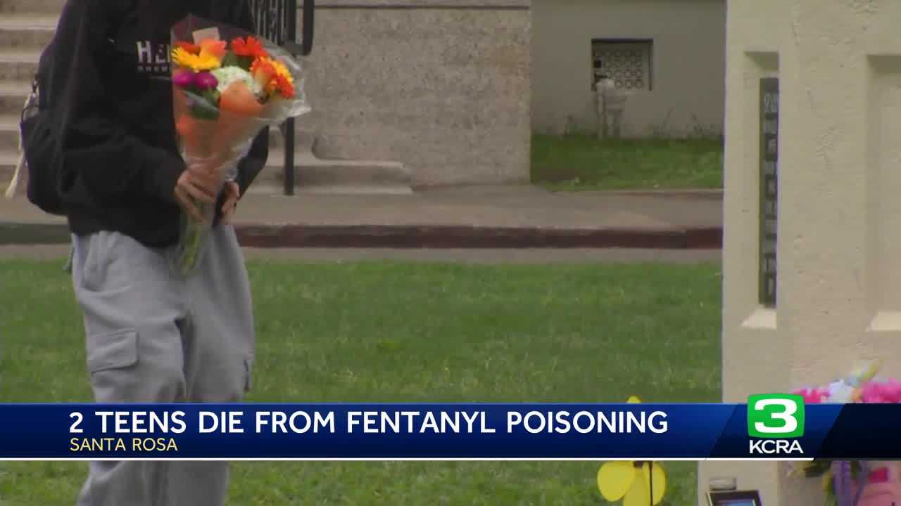 2 Bay Area teens dead, 2 hospitalized in suspected fentanyl poisonings