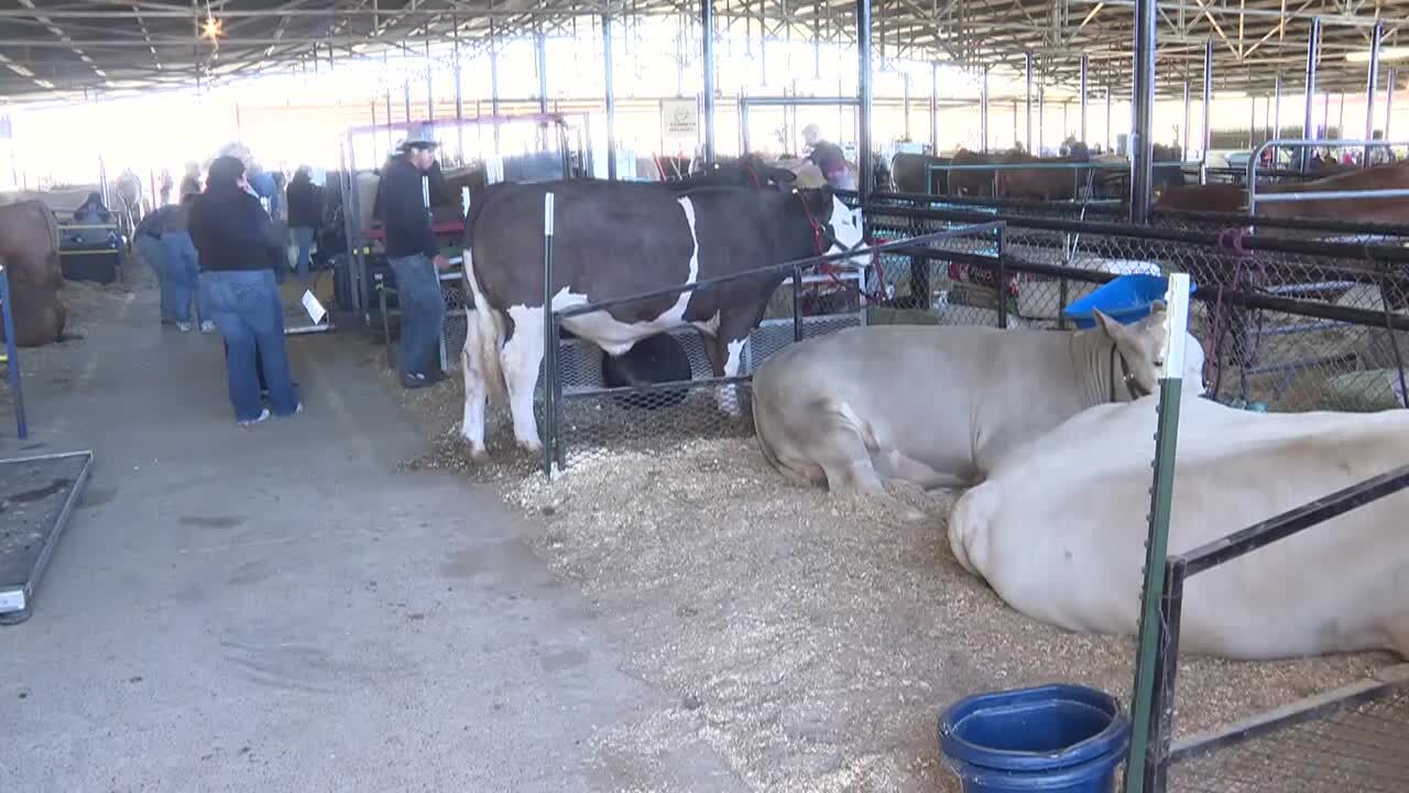 2025 LIFE Fair is underway