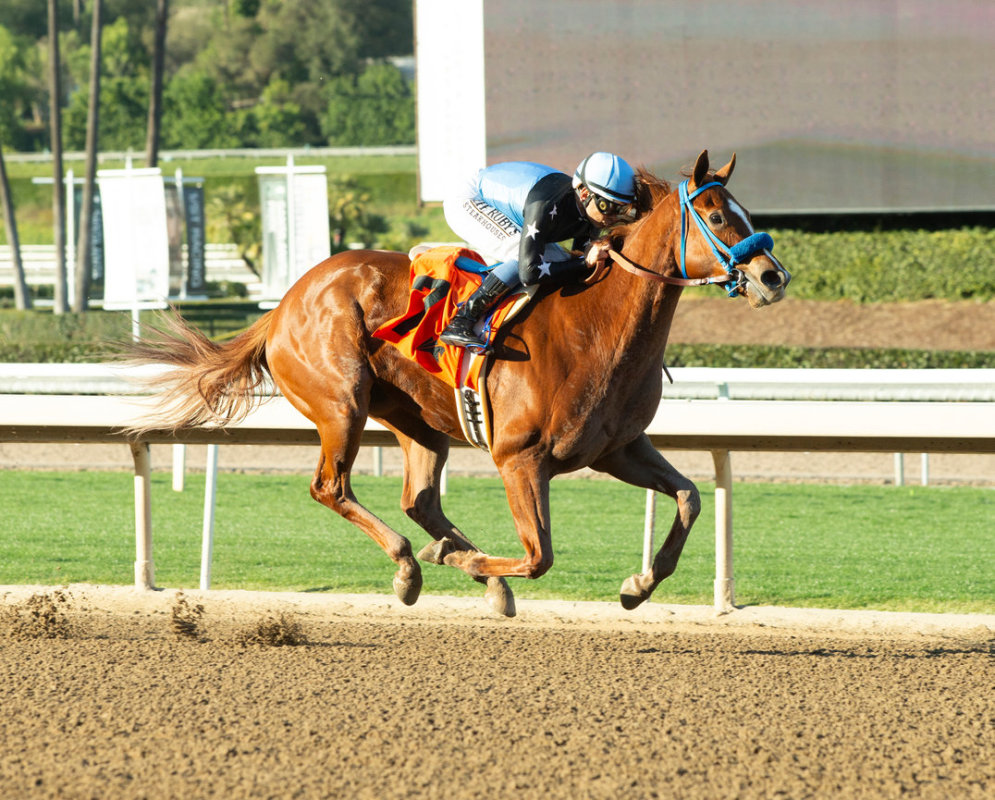 Eye-Catching Debut Winner Formula Rossa Could Target Santa Anita Oaks