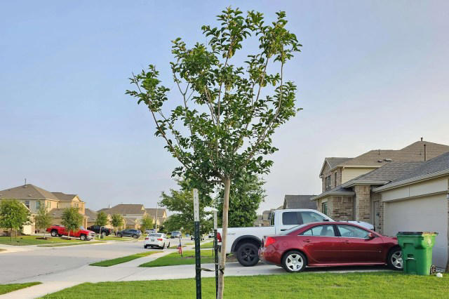 Homeowner desperate for advice after discovering major problem with new ...