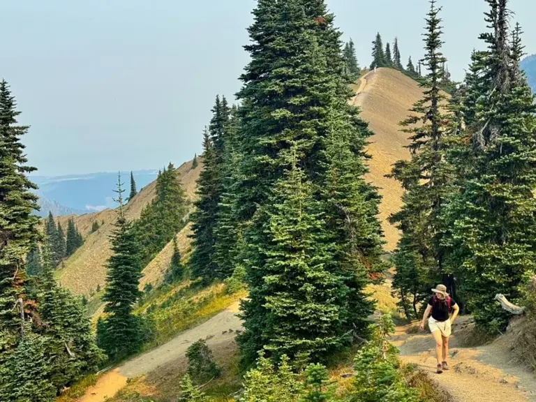 12 Incredible Hikes in Olympic National Park