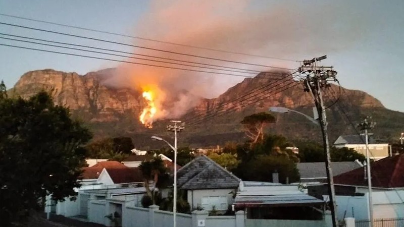 Table Mountain blaze forces closure of Newlands and Kirstenbosch hiking ...