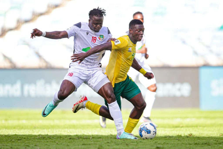 Tickets to Bafana vs Lesotho World Cup qualifier in Polokwane go on sale Tickets to Bafana vs Lesotho World Cup qualifier in Polokwane go on sale