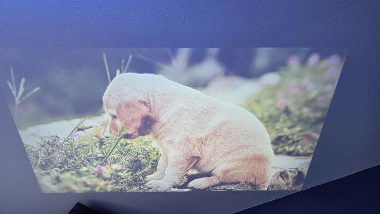 KODAK FLIK HD9 Smart Projector Review: Portable Entertainment Anywhere