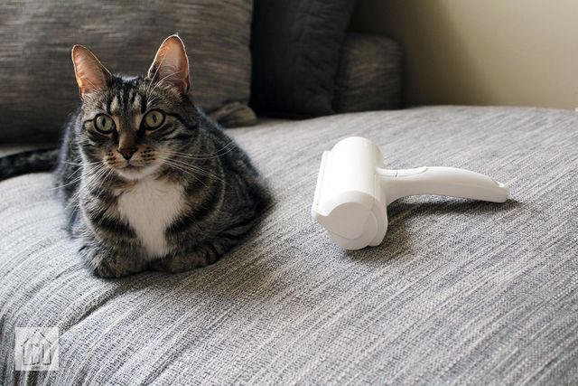 ChomChom Roller Review