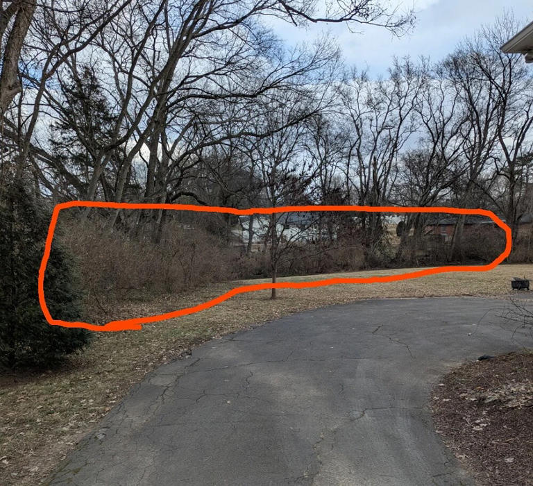 New homeowner seeks advice after purchasing home with dangerous yard ...