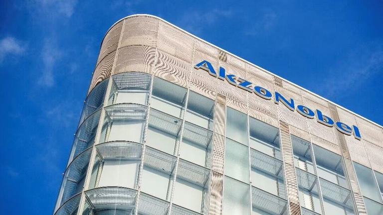 Dulux paintmaker AkzoNobel repaints India strategy with ₹2,144 crore ...