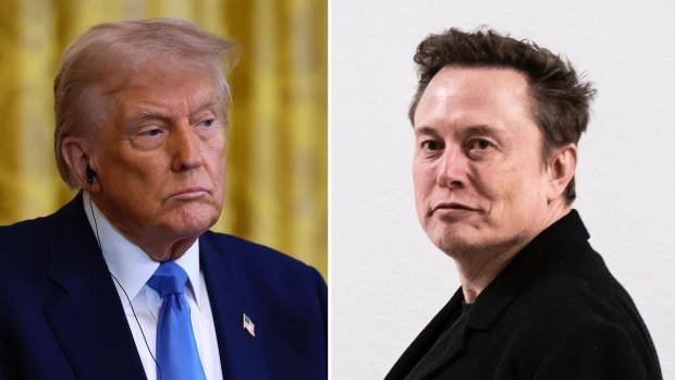 AI-Generated Clip of Trump Licking Elon Musk's Toes Runs on a Loop at ...