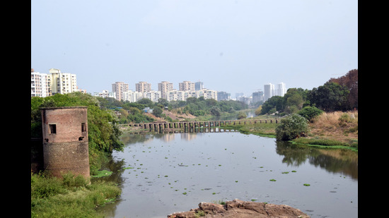 Citizens protest against felling of trees for riverfront development plan