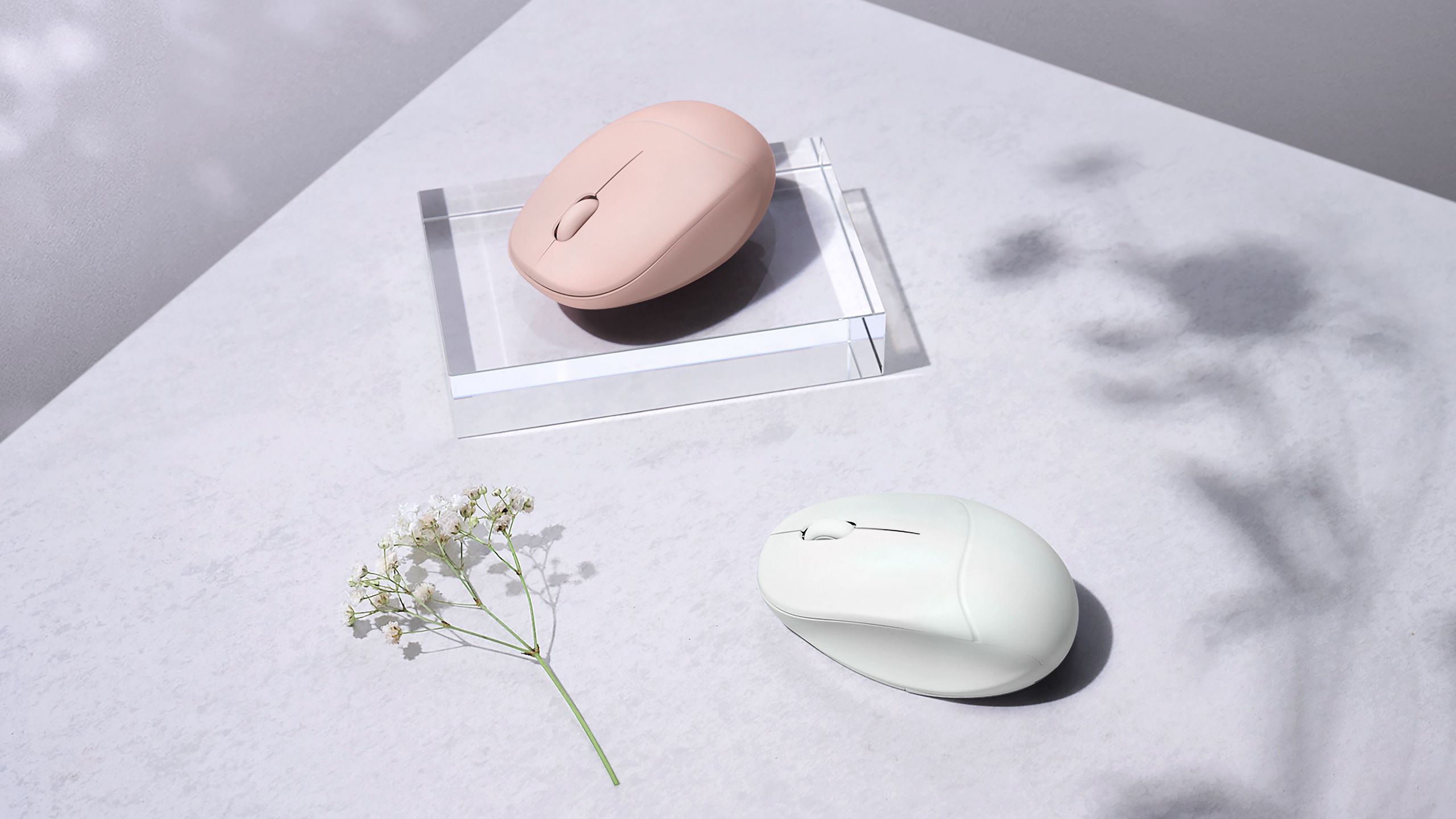 Asus' new mouse isn't just clickable - it's sniffable