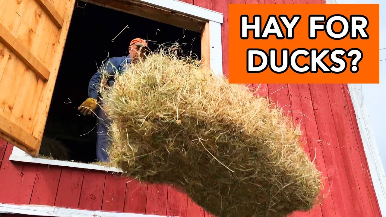 Can You Run a Thriving Farm Without a Tractor?