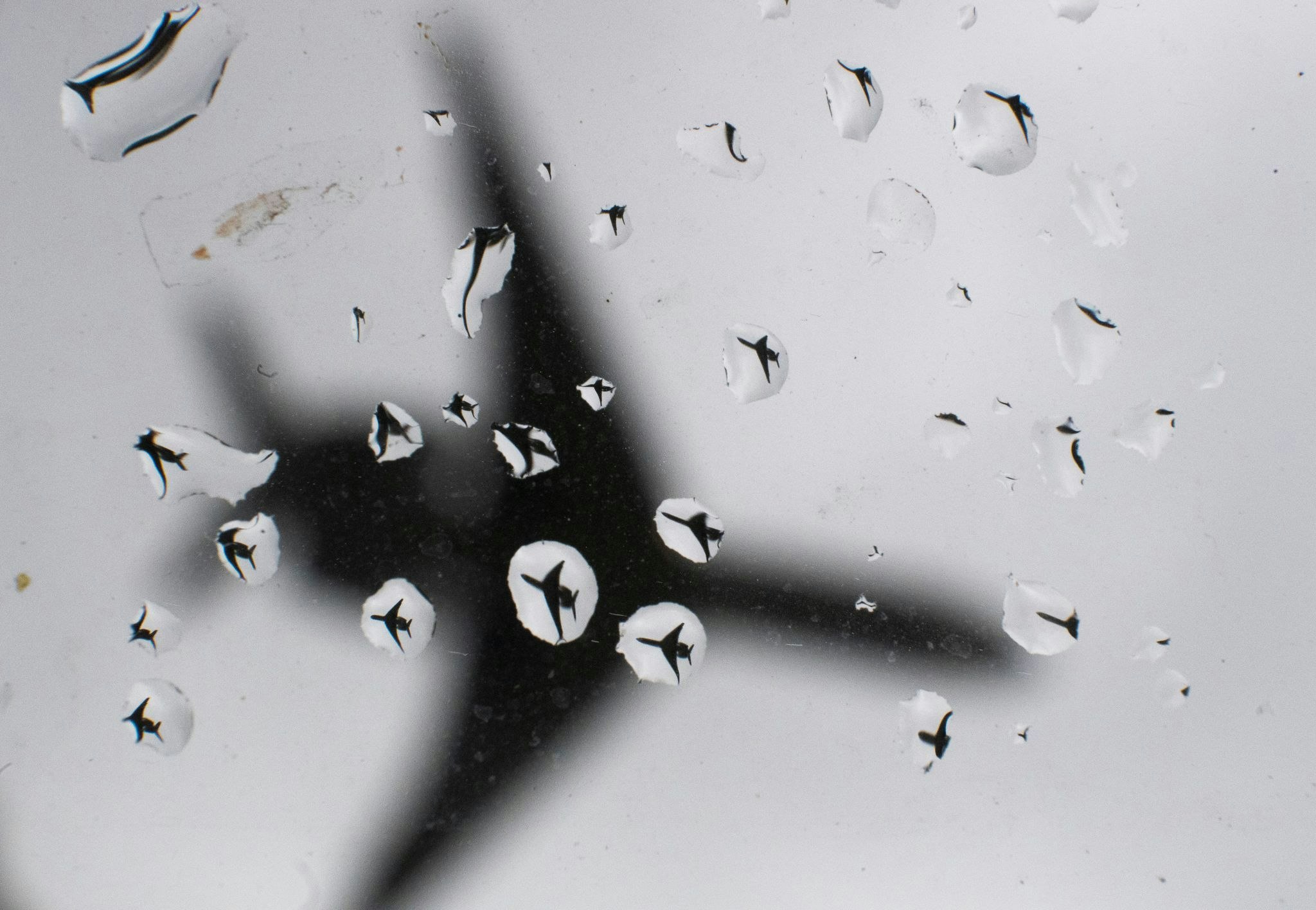 Wieder Flugzeug-Vorfall in USA: Berichte: US-Flieger kehrt wegen ...