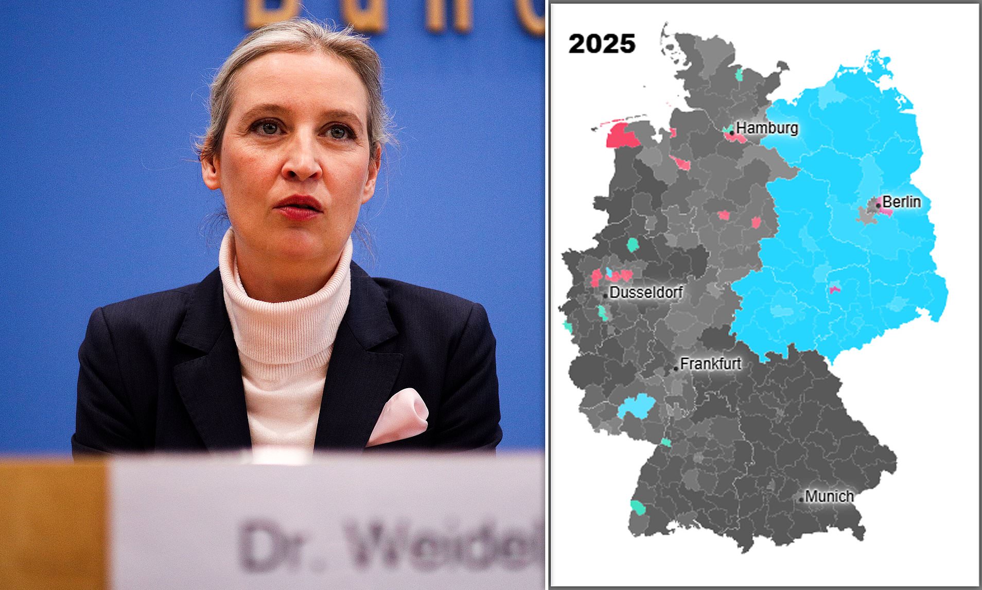 AfD will be Germany's largest party by next election, leader claims