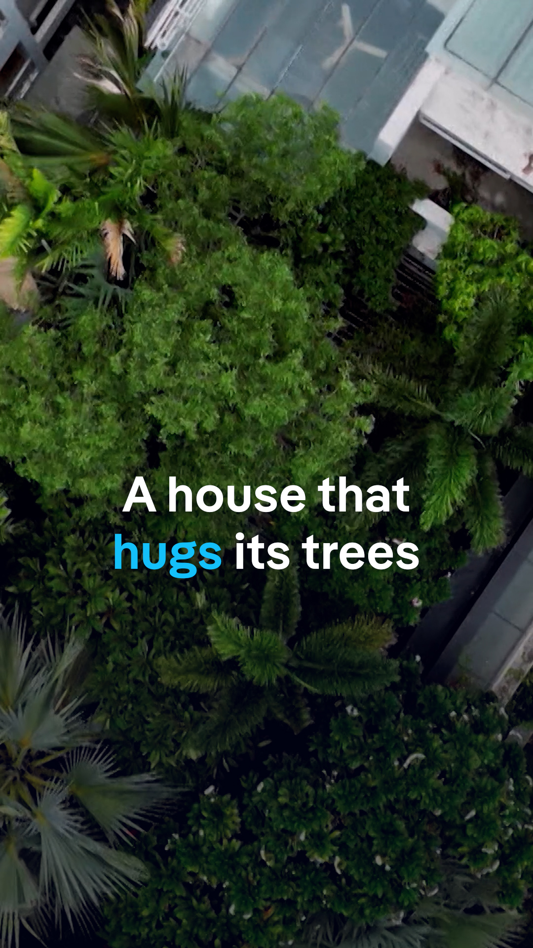 Blending trees and buildings: Chennai’s unique architecture