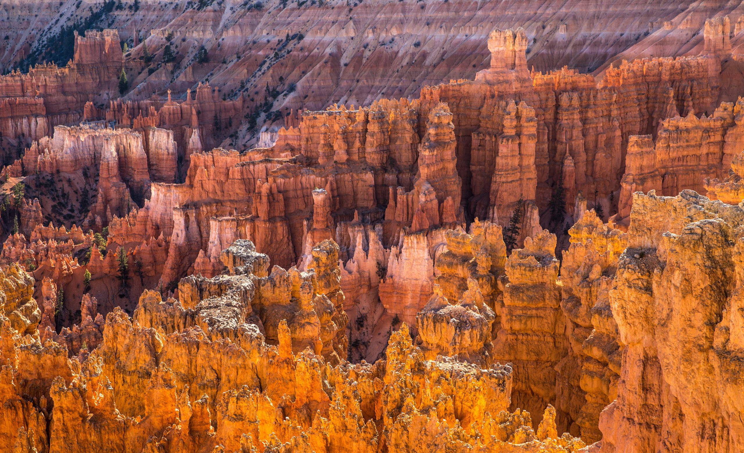 Stunning images of the greatest canyons and gorges on Earth