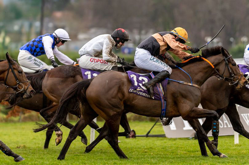 Cheltenham Festival 2025: Irish trainer could bid for £100,000 bonus ... Cheltenham Festival 2025: Irish trainer could bid for £100,000 bonus ...