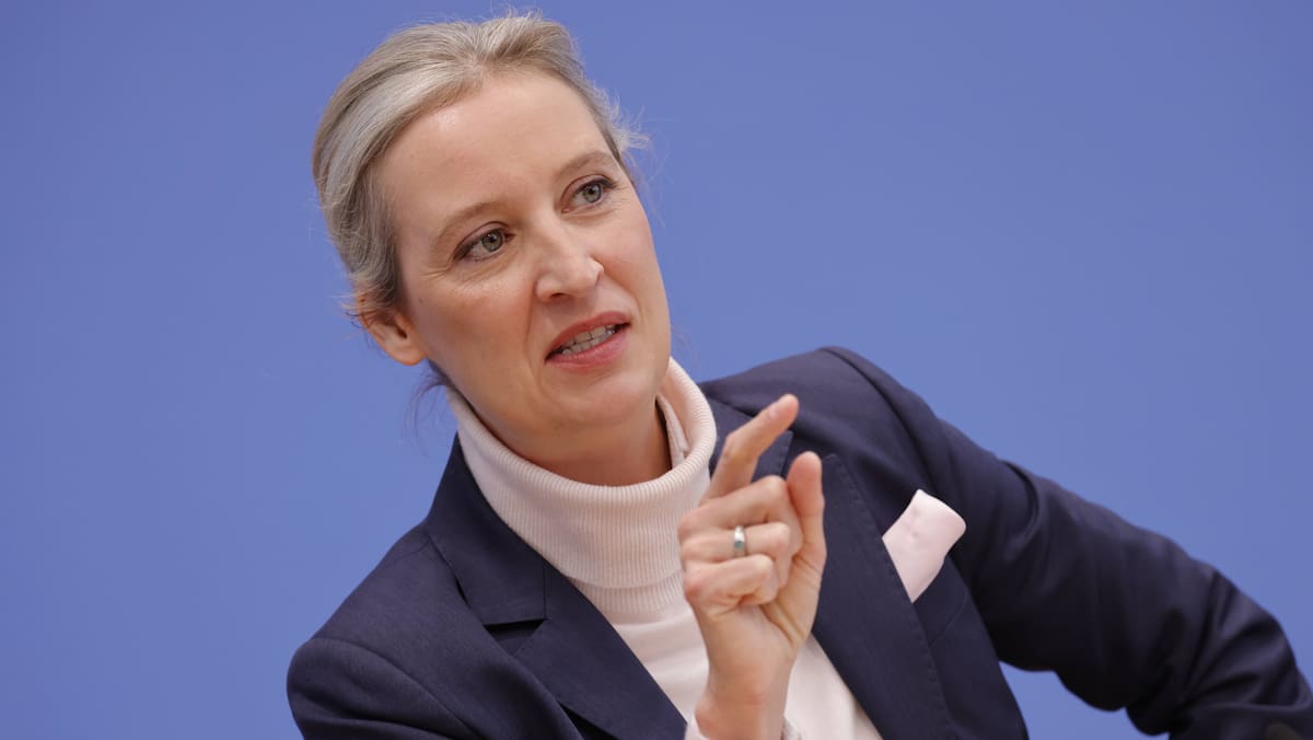 2,35 Millionen flossen an die AfD: Weidel schweigt zu ominösem ...