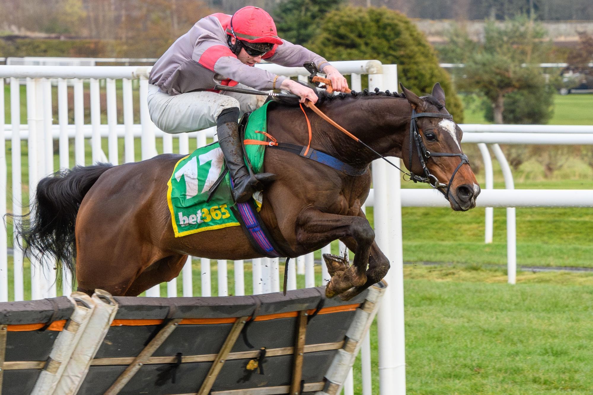 Hawick racehorse trainer Ewan Whillans lining up another crack at £120k ...