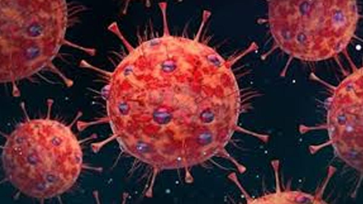 New Bat Virus HKU5-CoV-2 Discovered At Wuhan Lab Sparks Global Pandemic ...