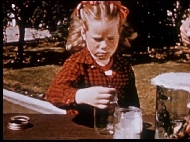 Insect Zoo: Amazing Bugs Up Close!