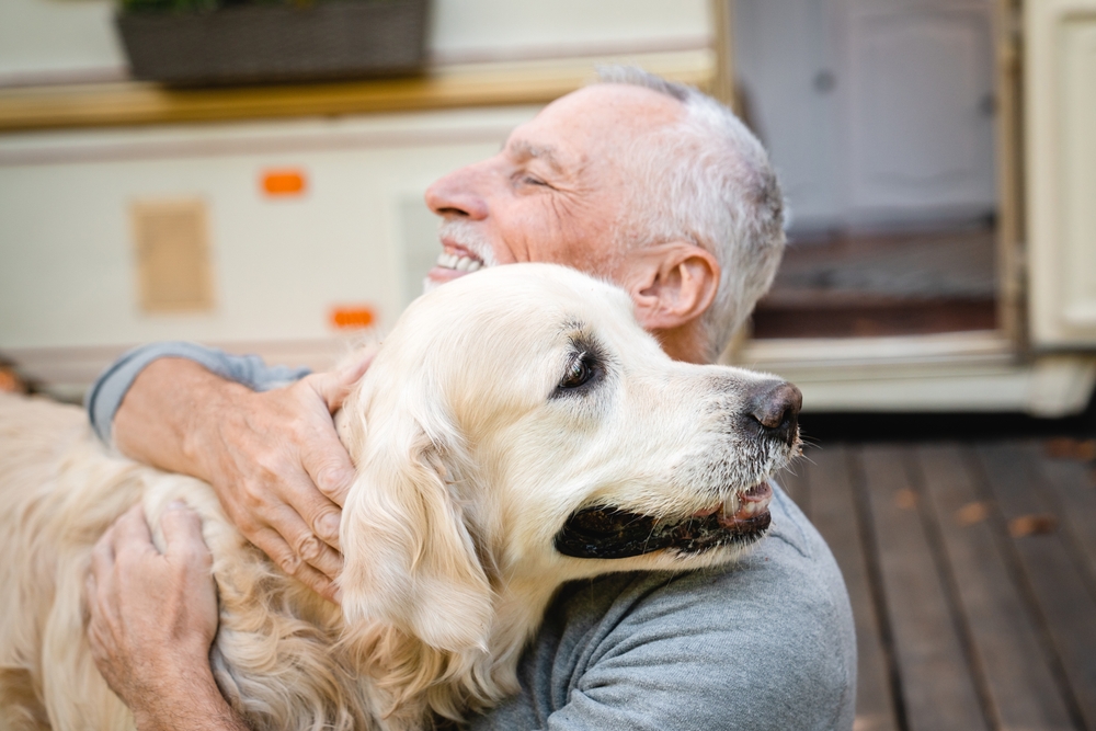 10 Most Helpful Dog Breeds for Aging Adults and Families