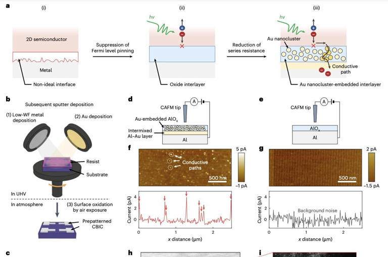 New conductive-bridge interlayer contacts could boost performance of 2D optoelectronics