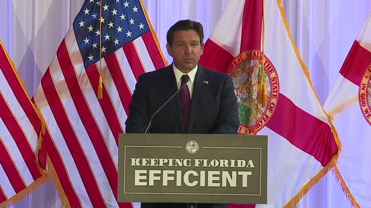 Florida to launch DOGE task force, Desantis says