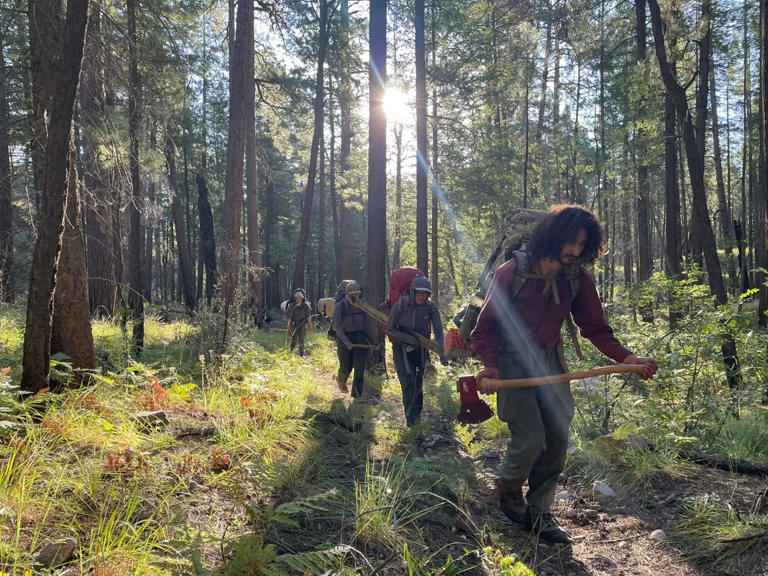U.S. Forest Service Firings Wreak Havoc on Careers, Endanger Rural Areas