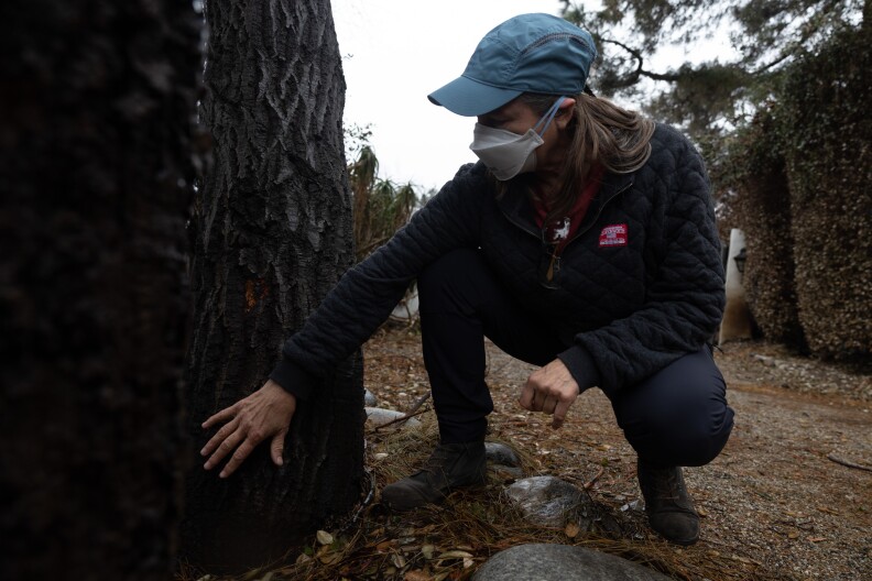 After the Eaton Fire, this group is working to save Altadena’s ...