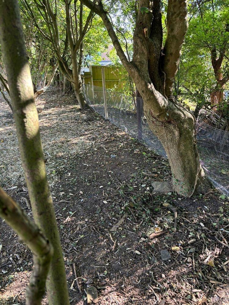 "Back to Nature" for Chapel school