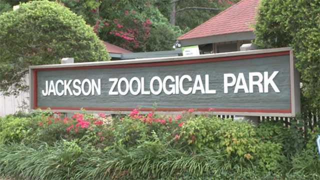 Event planned for this weekend at Jackson Zoo postponed