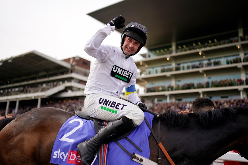 Constitution Hill intel aired as Cheltenham Festival punters told the ...