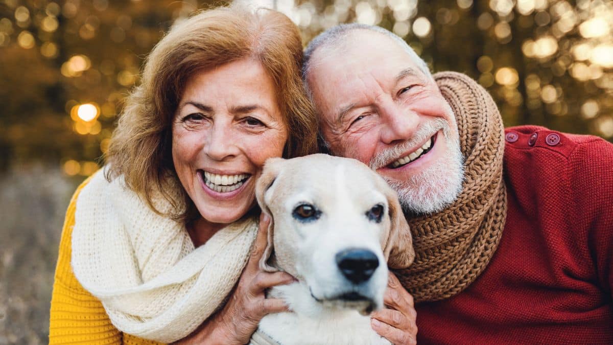 14 Jobs That Turn Your Love for Pets Into Money