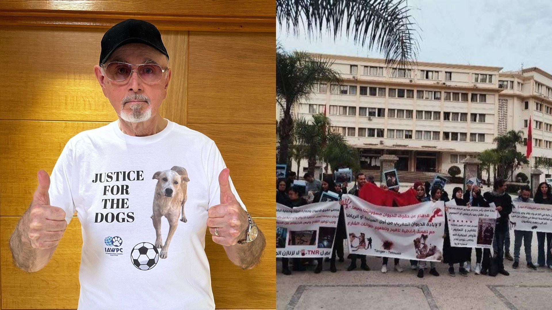 Downton Abbey Star Peter Egan wants Glasgow dog lovers to take part in ...