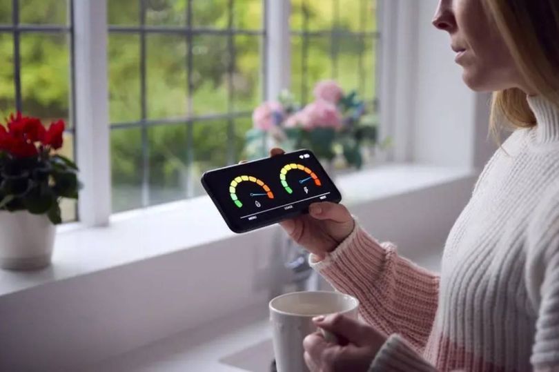 Why British Gas, EDF, EON, Octopus and OVO customers should check smart ...