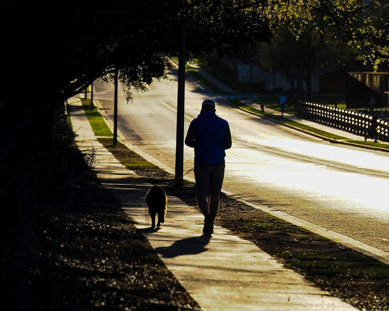 Should You Run with Your Dog? 6 Things to Consider