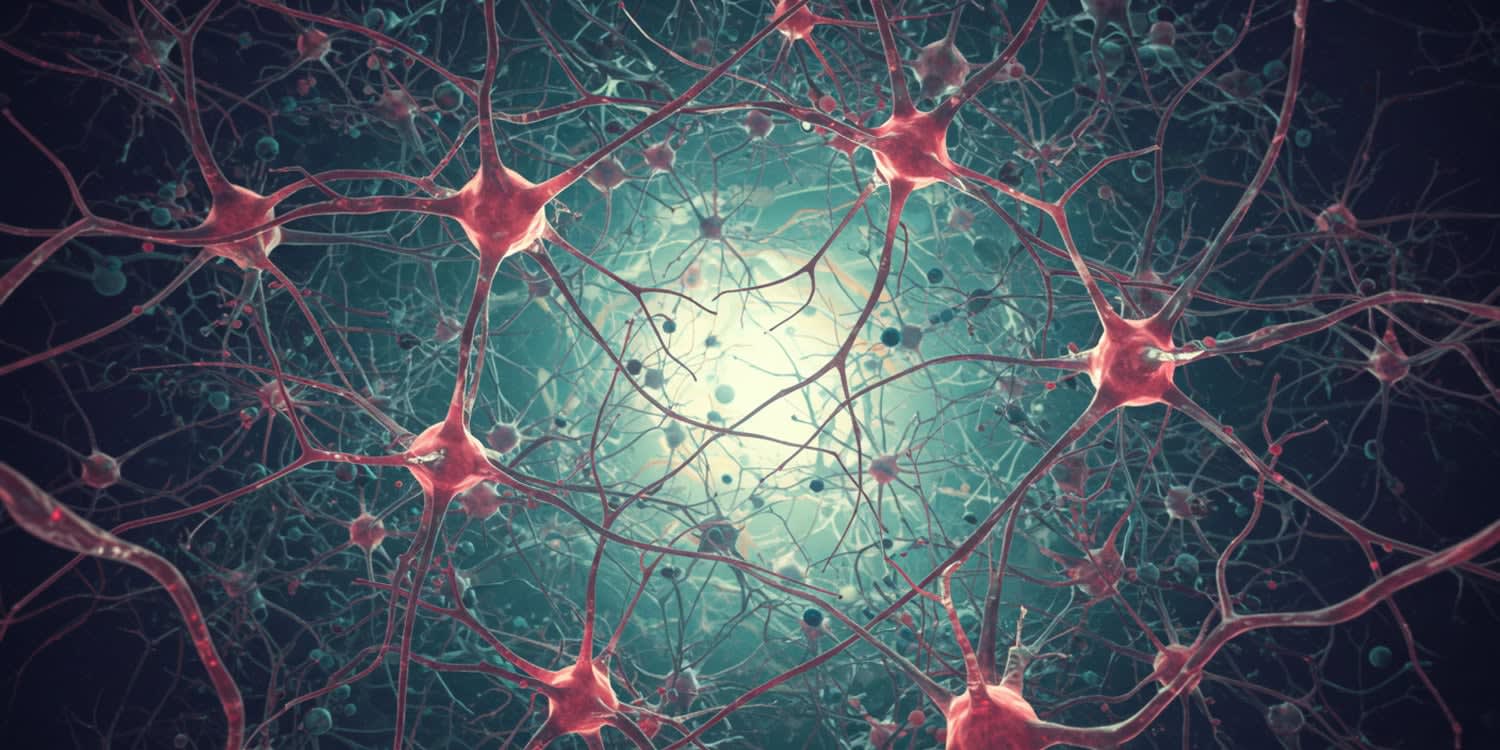 Neuroscientists discover distinct brain circuit that drives risk preference