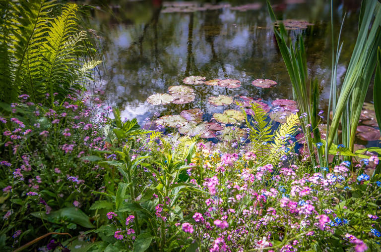 Inside Monet’s garden in Giverny and how to visit this year